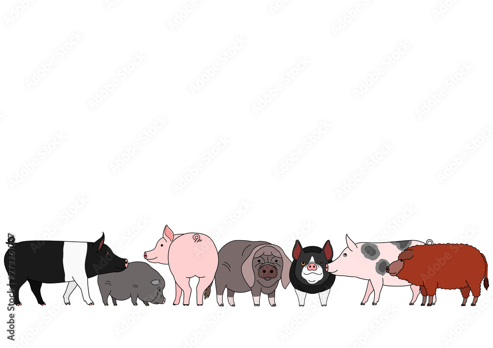 cute cartoon pig group Stock Vector | Adobe Stock