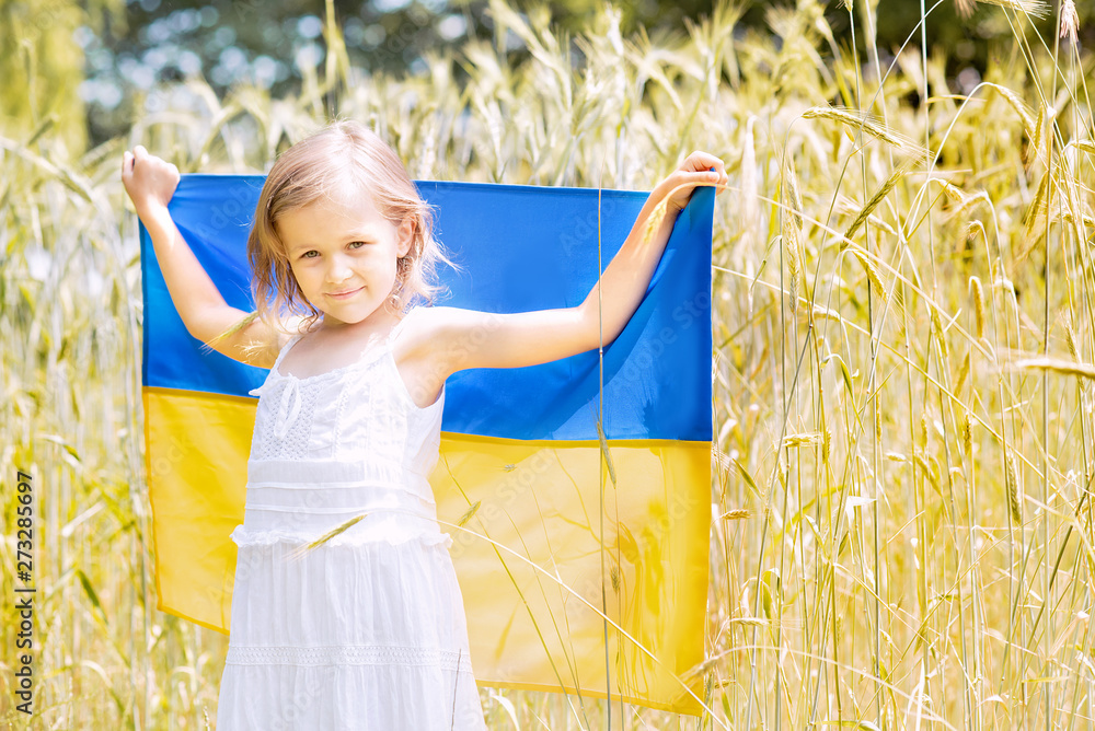 Child carries fluttering blue and yellow flag of Ukraine in wheat field. Ukraine's Independence ...