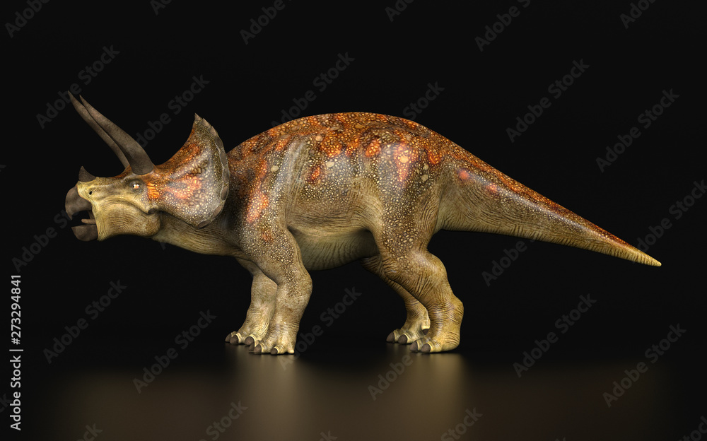 Dinosaur Triceratops Horridus standing black background side view 3d ...