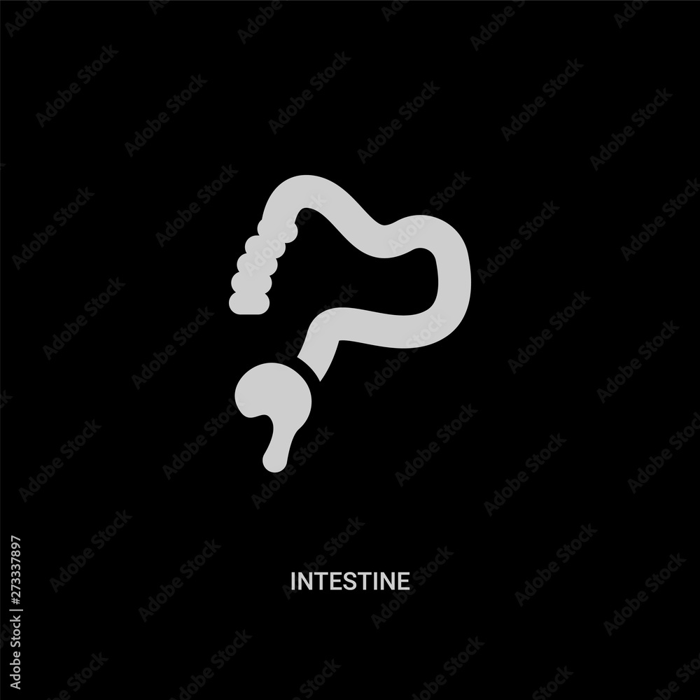 white intestine vector icon on black background. modern flat intestine ...