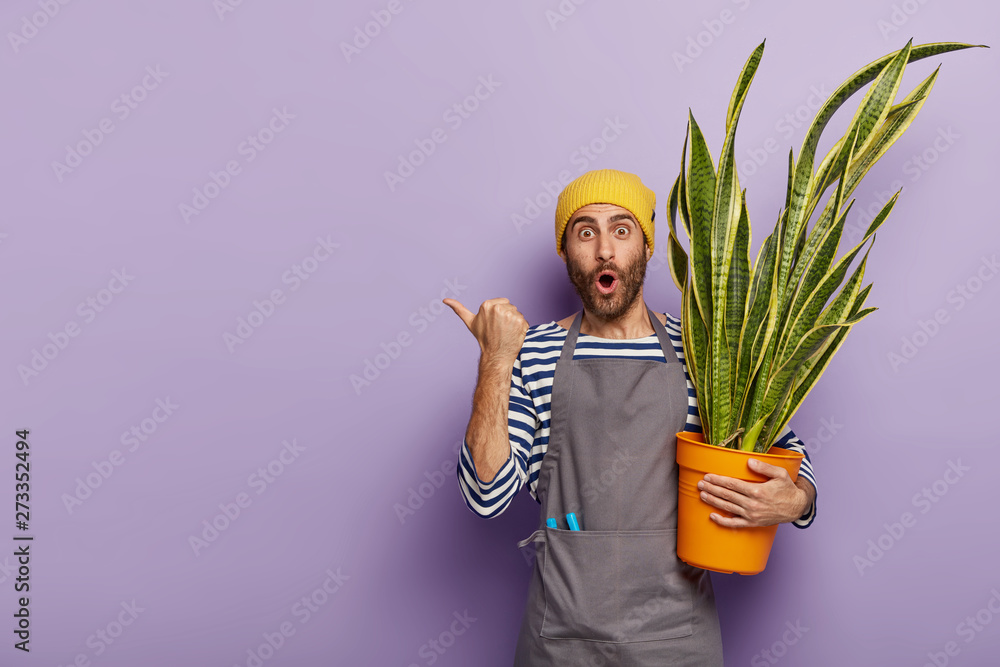 Impressed unshaven flower gardener carries pot with beautiful mother in ...