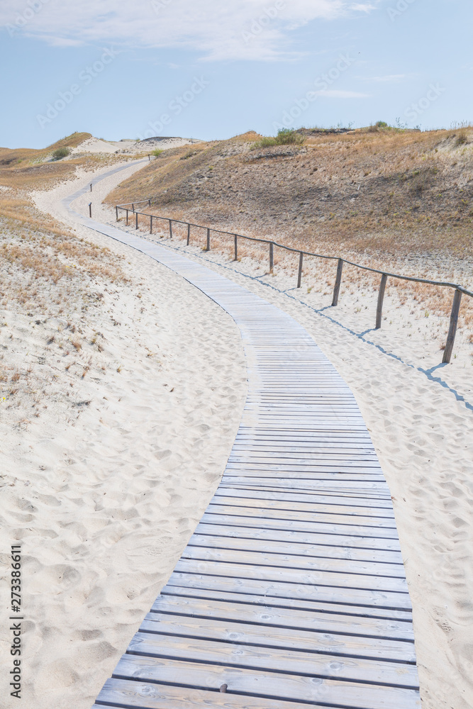 Sand dunes of the Curonian spit also known as "Dead or Grey dunes ...