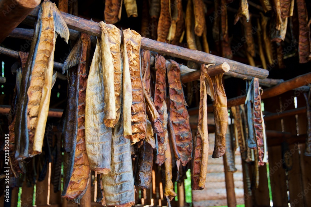 Salmon Fish hanging in outdoor smokehouse in Alaska Stock Photo | Adobe ...