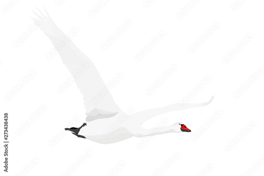 Flying white swan. Vector image. White background. Stock Vector | Adobe ...