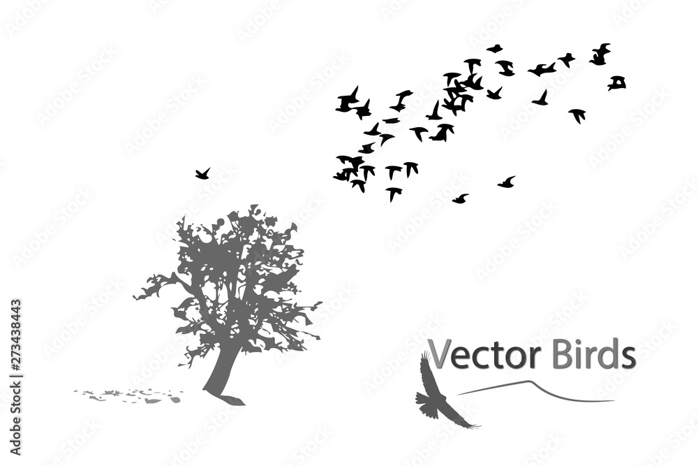 Alone tree and flying birds. Vector image. White background. Stock ...