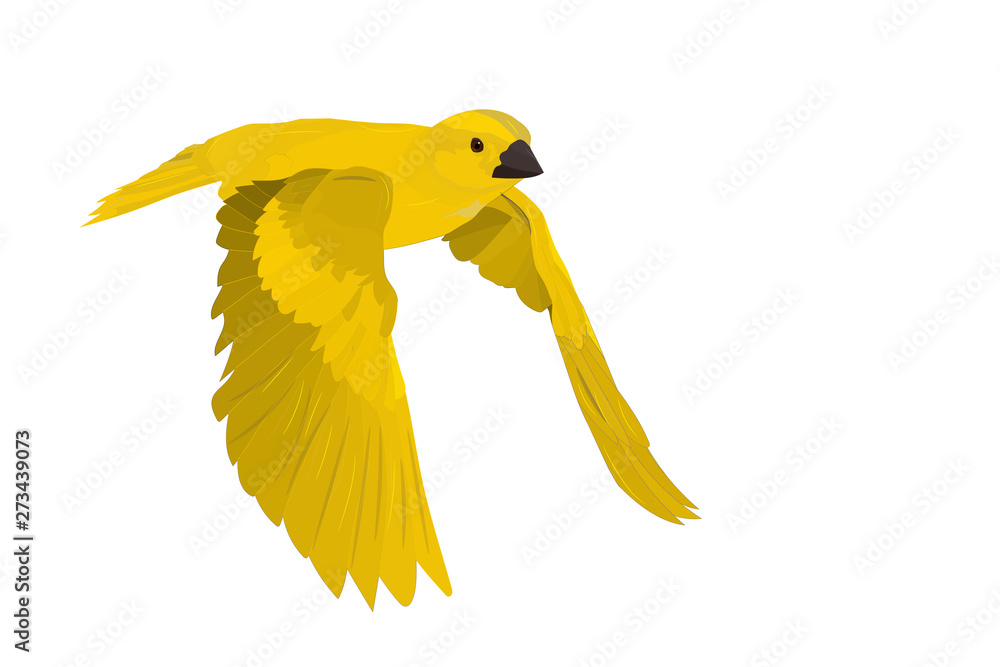Cute bird flying. Colorful bird. Realistic vector image. Stock Vector ...