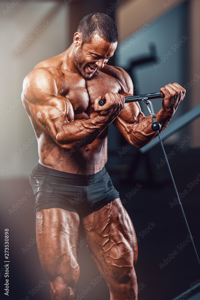 Hard Core Bodybuilding. Handsome Bodybuilder Workout at the Gym Stock ...