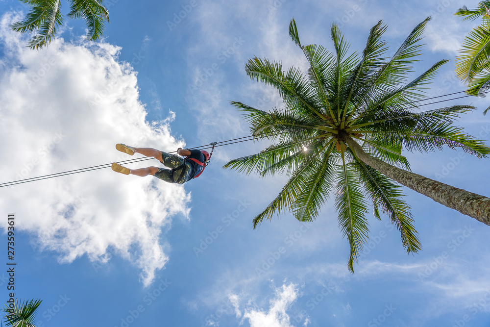 Man ride on zip line in jungle on rice terraces, island Bali, Ubud ...
