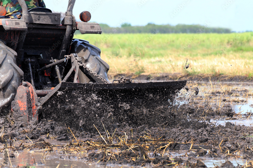 tractor moves through a wet puddle mud black, tractor ploughing at rice ...