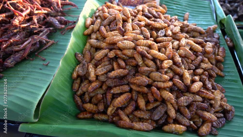 Edible roasted and spiced meal worms, larva, bugs fried on street food ...