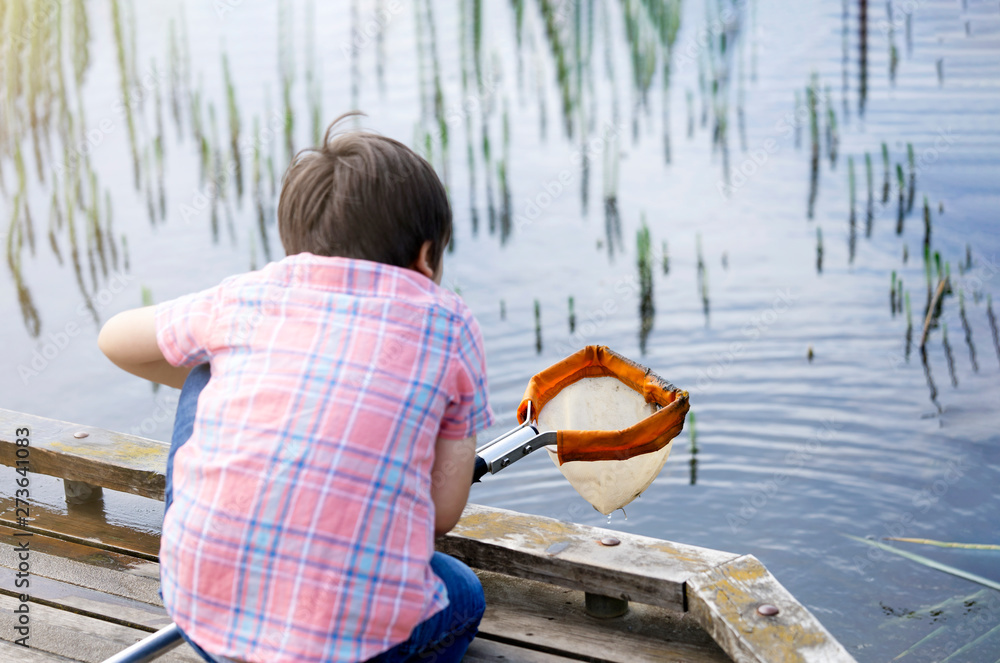 Reaw view Kid boy catching creatures in pond with net in summer time ...
