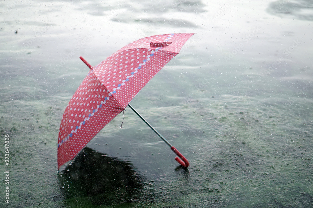 Umbrella on rainy day - The raindrops falling on an umbrella which put ...