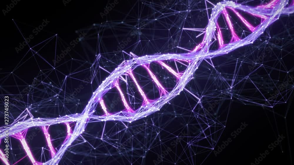 Abstract pink purple violet digital plexus DNA molecule structure for ...