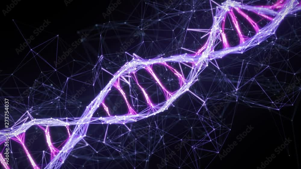 Abstract pink purple violet digital plexus DNA molecule structure for ...
