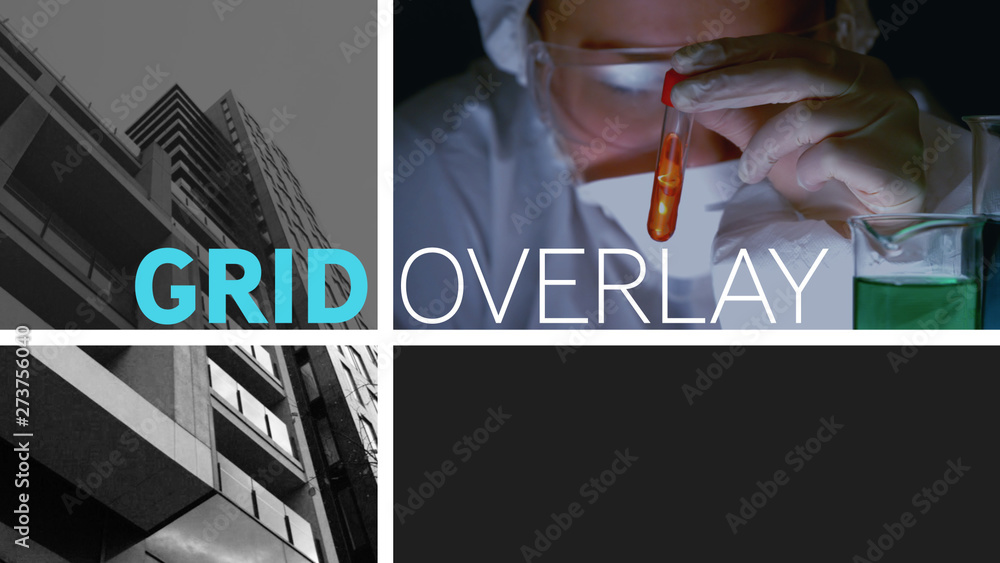 Grid Overlay Stock Template | Adobe Stock