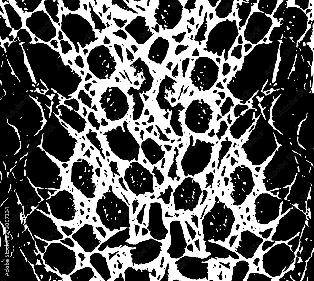 black and white snake skin background, pattern, texture. abstract ...