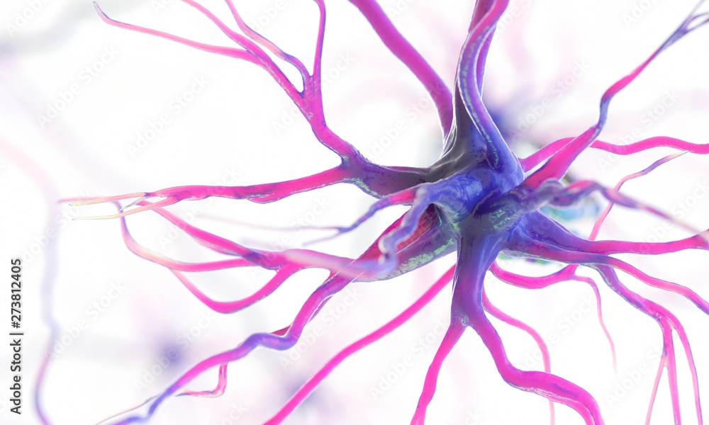 3d rendered medically accurate illustration of a human nerve cell on a ...