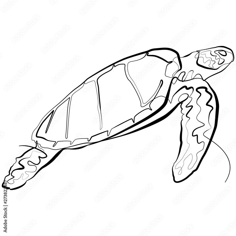 Turtle one line drawing. Line Art Marine Turtle Vector Illustration ...