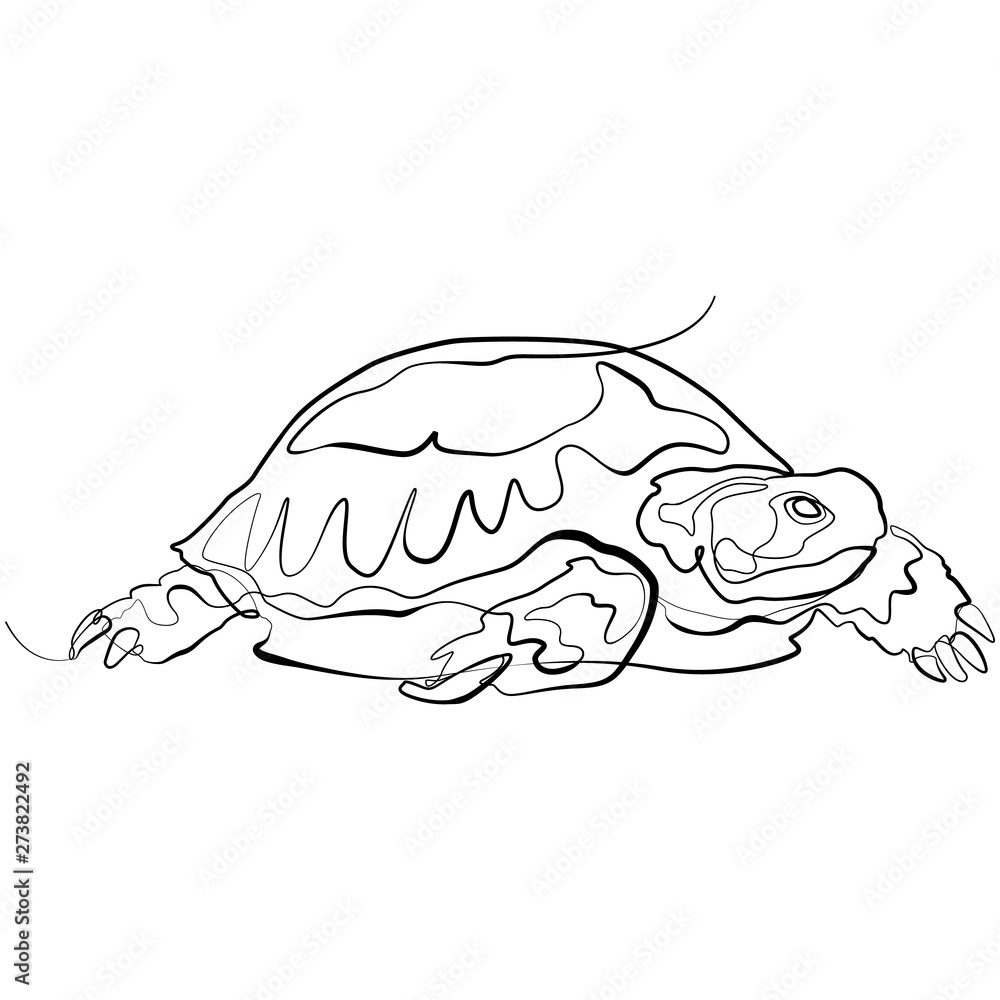 Turtle one line drawing. Sea Turtle Vector Illustration Stock Vector | Adobe Stock