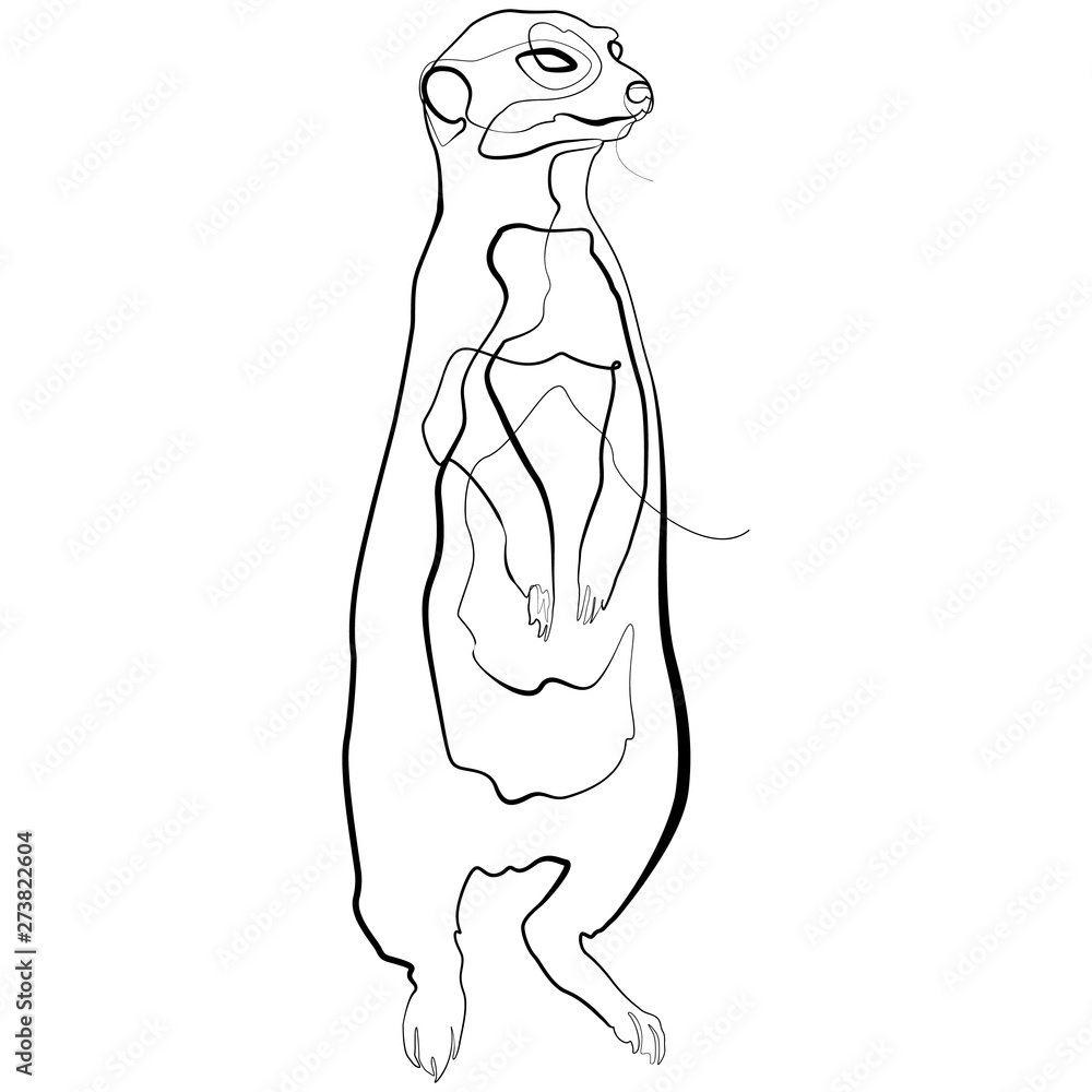 Meerkat one line drawing. Line Art Animal Vector Illustration Stock ...