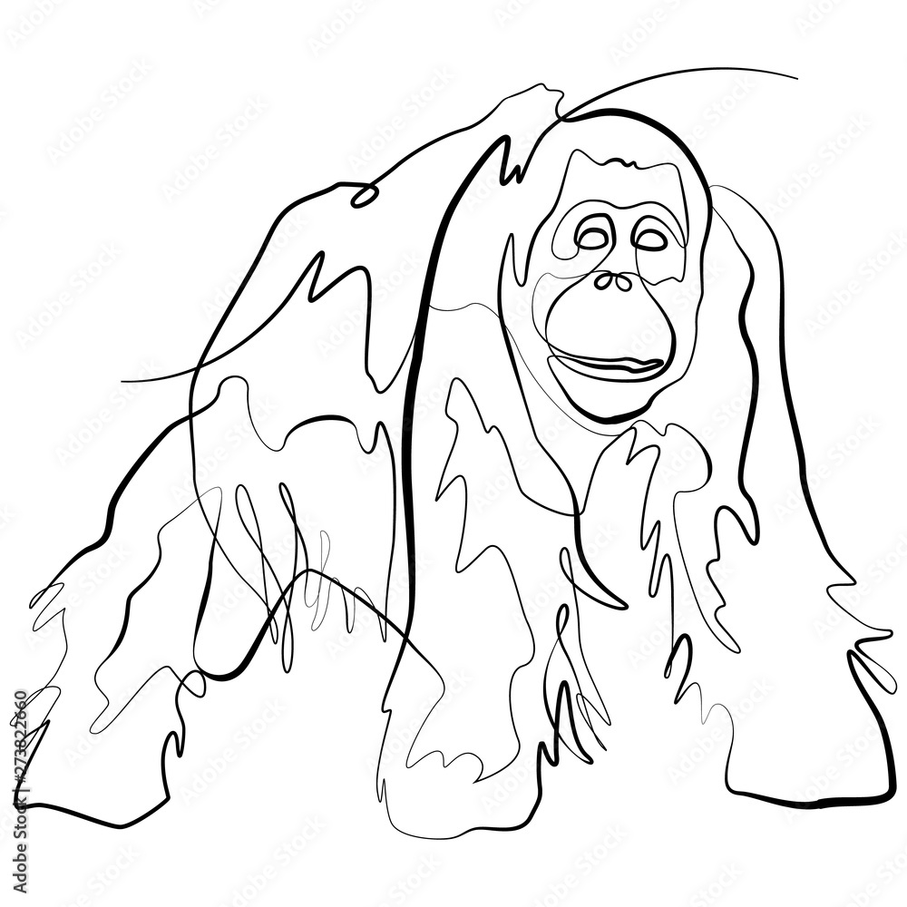Monkey Orangutan one line drawing. Line Art Ape Animal Vector ...
