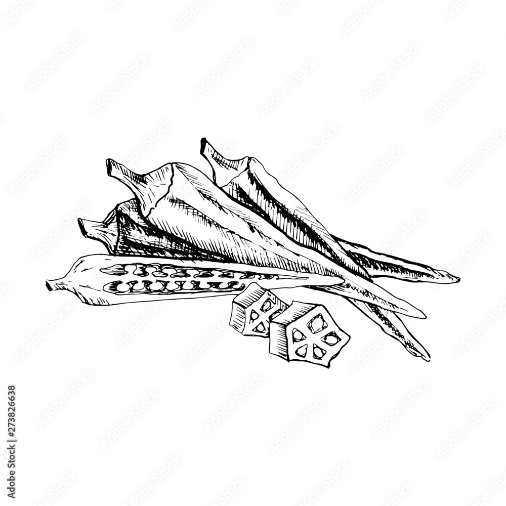 Okra Drawing