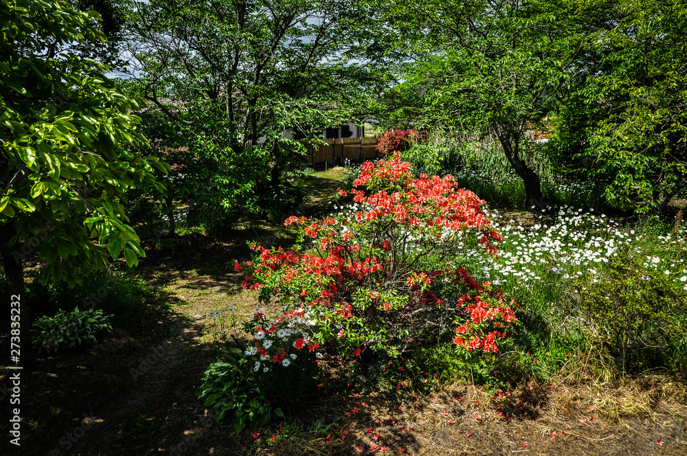 Garden beside Kazusa-Tsurumai station, Ichihara, Chiba, Japan Stock ...