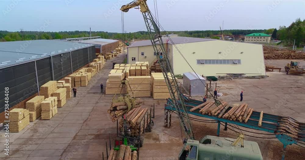 Crane unloads logs on the sorting line. Automated log sorting at a ...