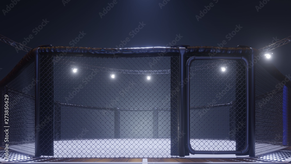 Mma arena side view. Empty fight cage under lights. 3D rendering Stock ...