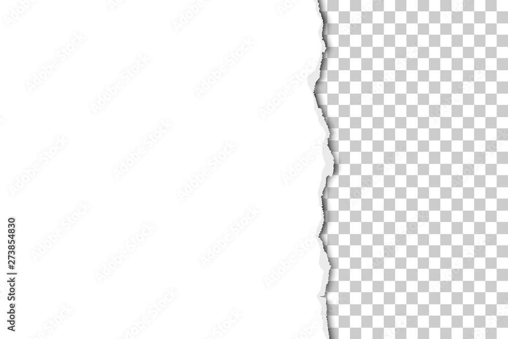 Vector part of sheet of white paper torn from the up to the down with ...