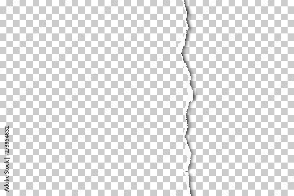 Vector part of sheet of transparent paper torn from the up to the down ...