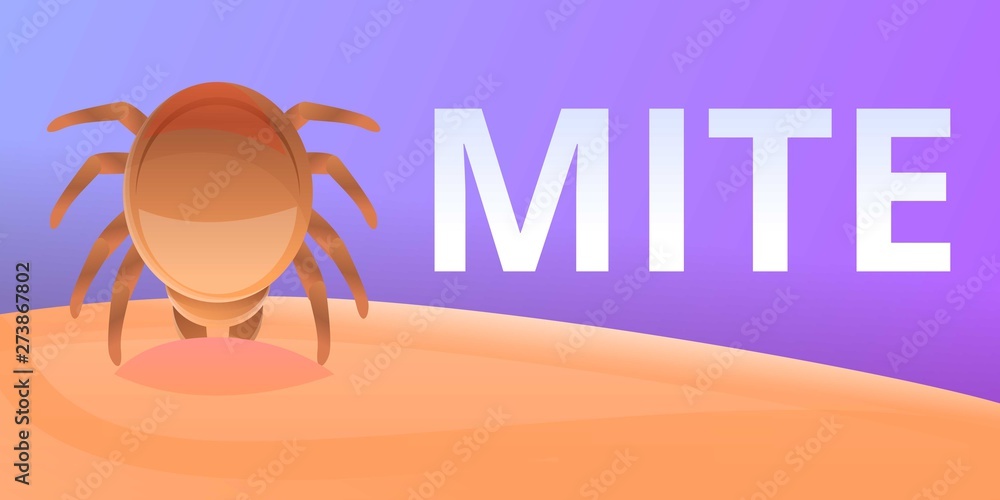 Mite skin concept banner. Cartoon illustration of mite skin vector ...