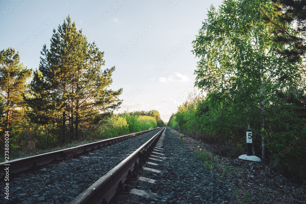 Scenery with railway in perspective across forest. Journey on rail ...