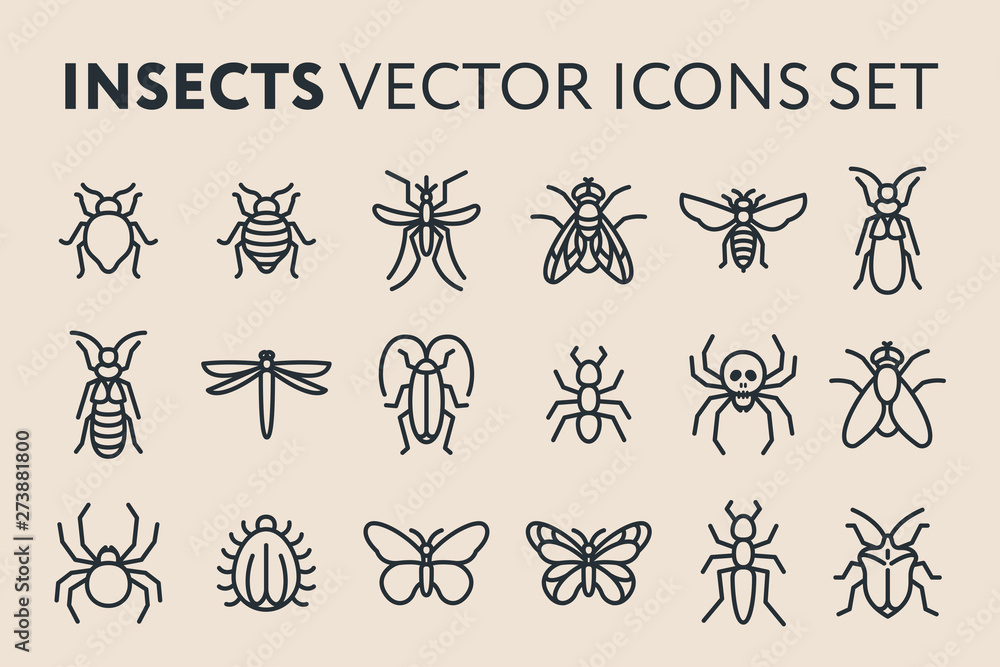 Insect Vector Flat Line Icon Illustration Set. Bed Bug, Fly, Dragonfly ...