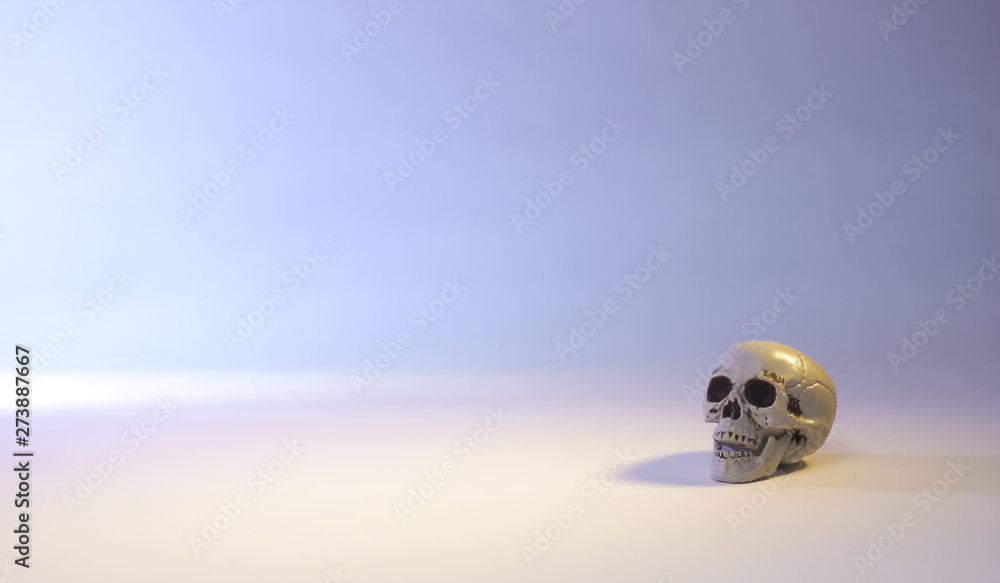 Human skull isolated on an empty beach. Copy text space. Studio ...