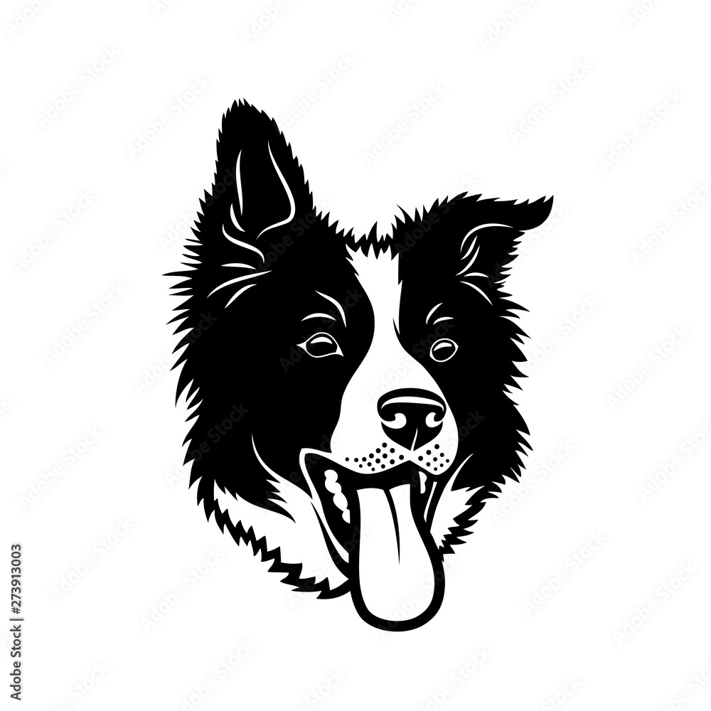 Border Collie dog - isolated vector illustration Stock Vector | Adobe Stock