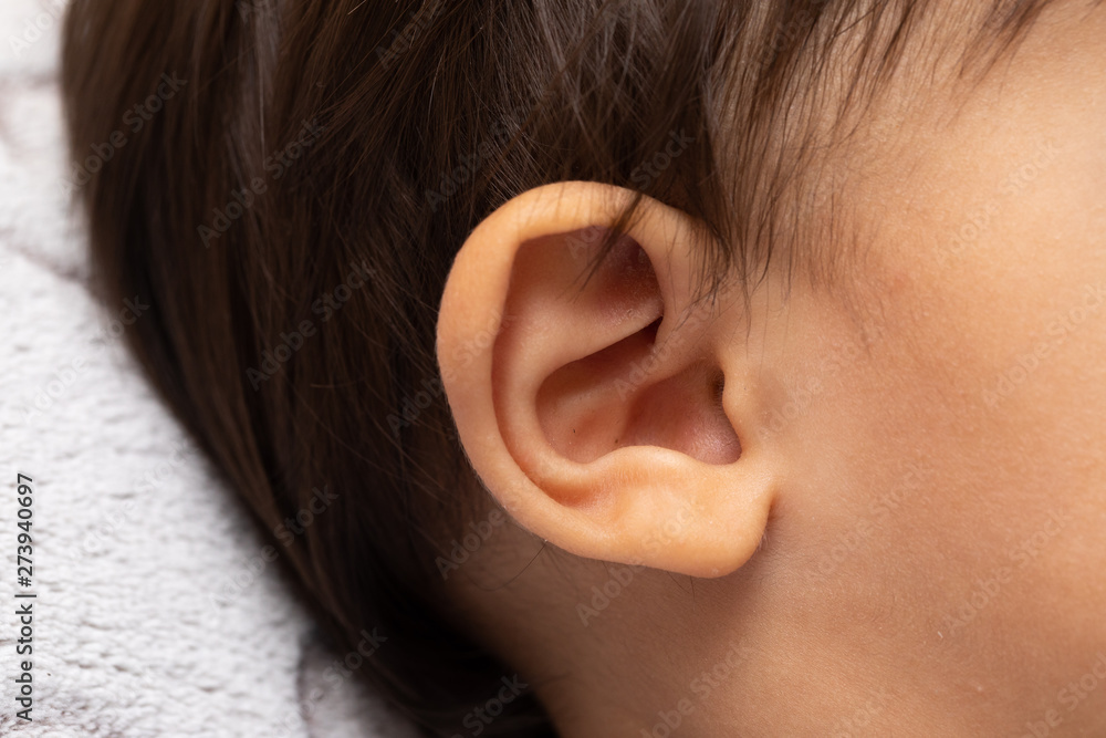 Details and shape of the human outer ear are viewed closeup on the head ...