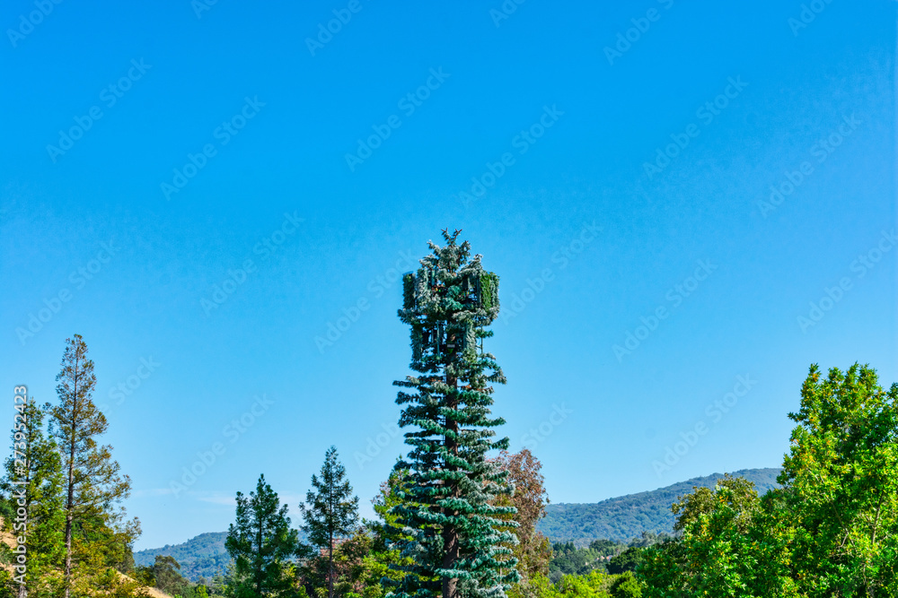 Cell phone tower disguised and camouflaged as a fake tall pine tree in ...