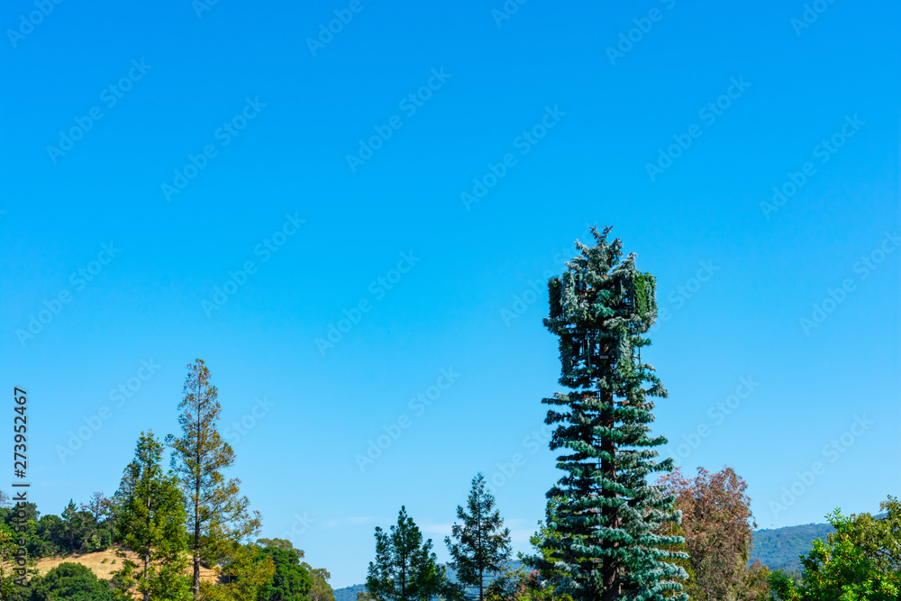 Cell phone tower disguised and camouflaged as a fake tall pine tree in ...