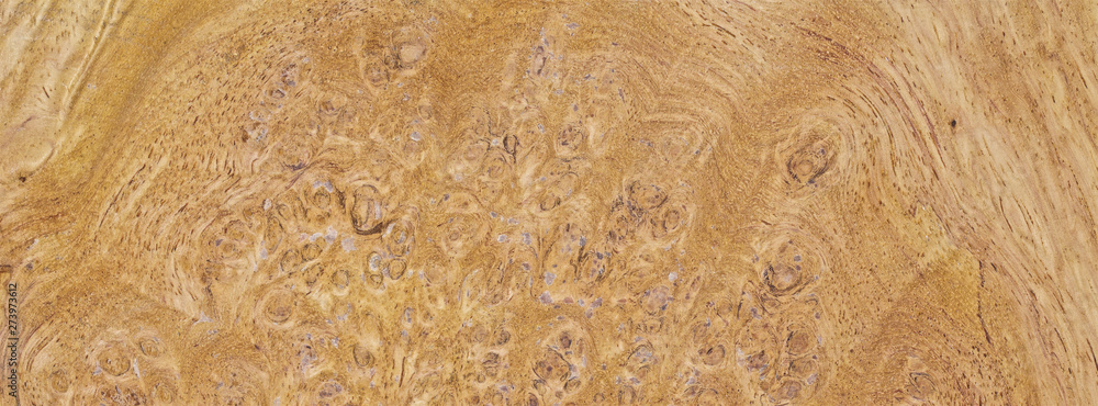 natural burl wood grain texture for banner background Stock Photo ...
