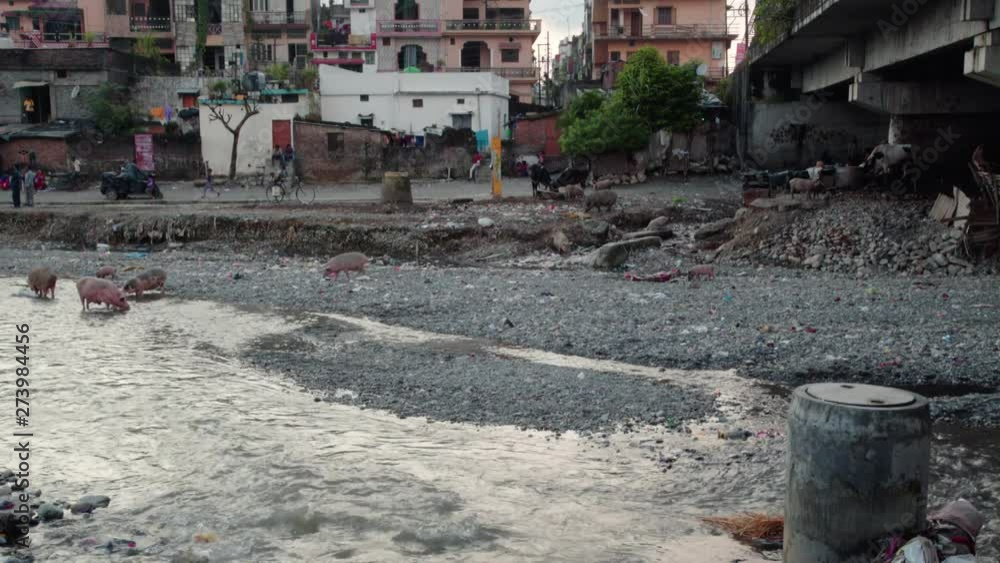 A polluted River.Polluted Indian River.Save water, Save Rivers.Clean ...