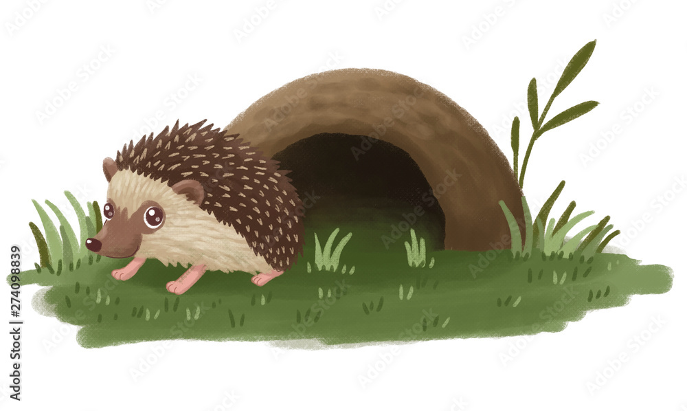 hedgehog and burrow Stock Illustration | Adobe Stock