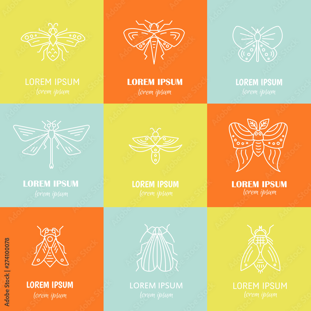 Templates with Bugs and insects in line style Stock Vector | Adobe Stock