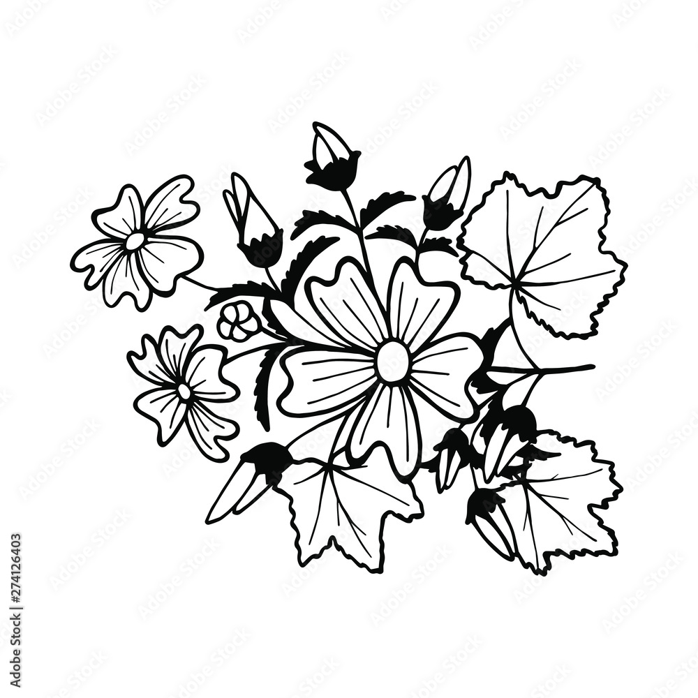 Mallow flowers vector illustration. black white hand drawing Stock ...