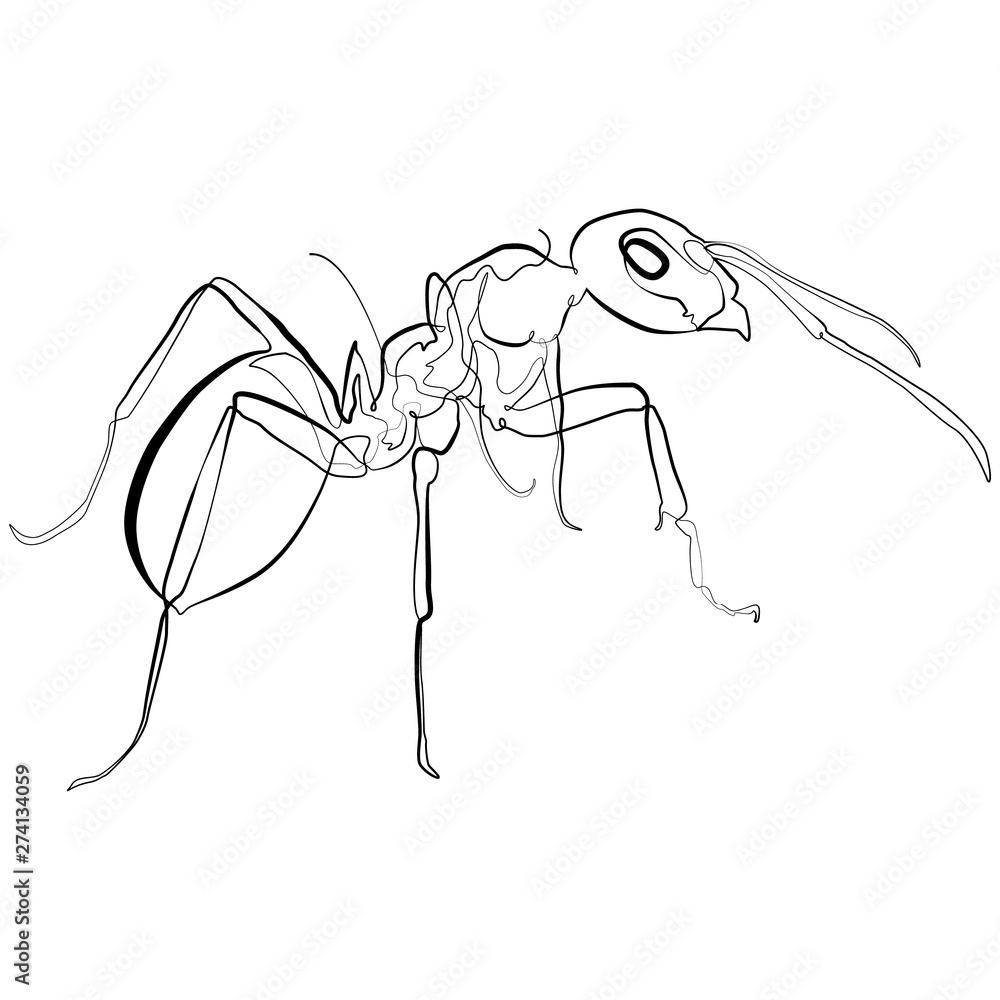 Ant one line drawing. Insect continuous line sketch Vector Art Stock ...