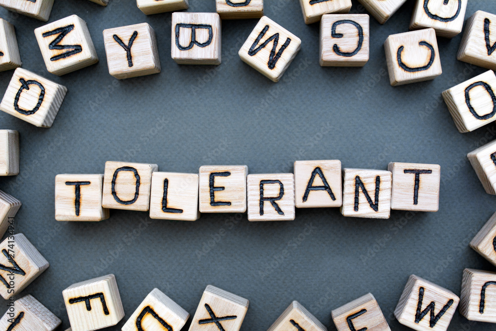 The Word Tolerant Wooden Cubes With Burnt Letters Tolerance Towards the-word-tolerant-wooden-cubes-with-burnt-letters-tolerance-towards