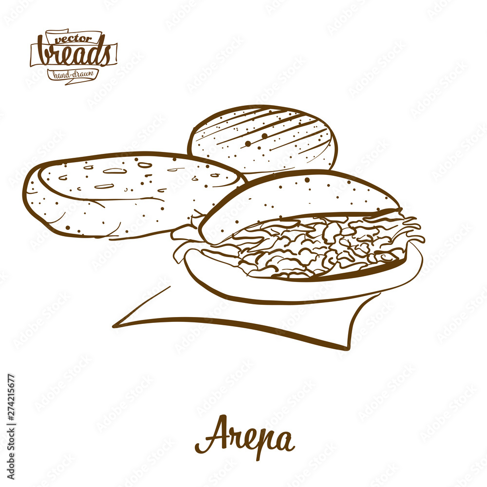Arepa bread vector drawing Stock Vector | Adobe Stock