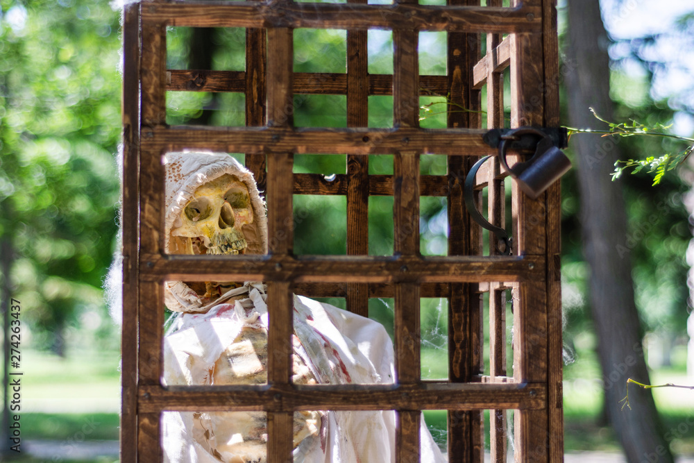 Scary old human skeleton in a wooden cage hanging on a tree and green ...