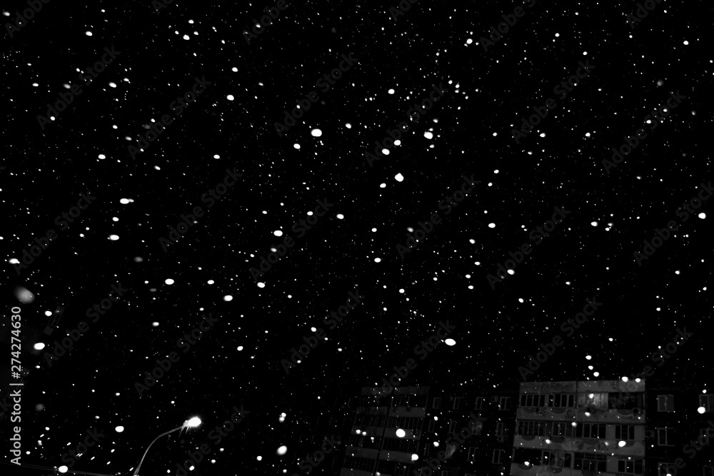 falling snow on a black background, snowfall at night, white chaotic ...