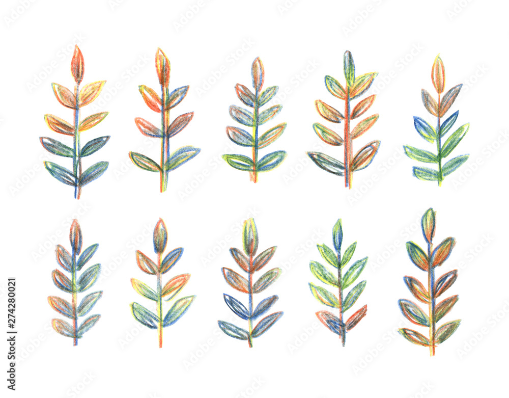 Decorative set of hand drawn branches isolated on a white background ...